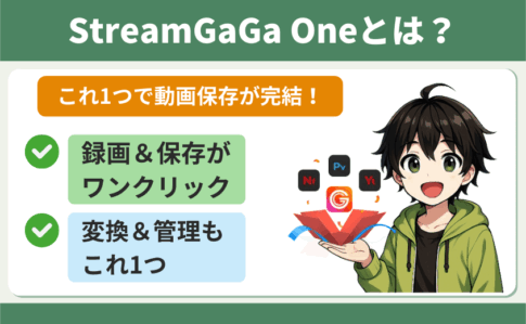 【2025年最新】StreamGaGa Oneレビュー｜55種類のダウンローダーを1つに集約！ | seablog